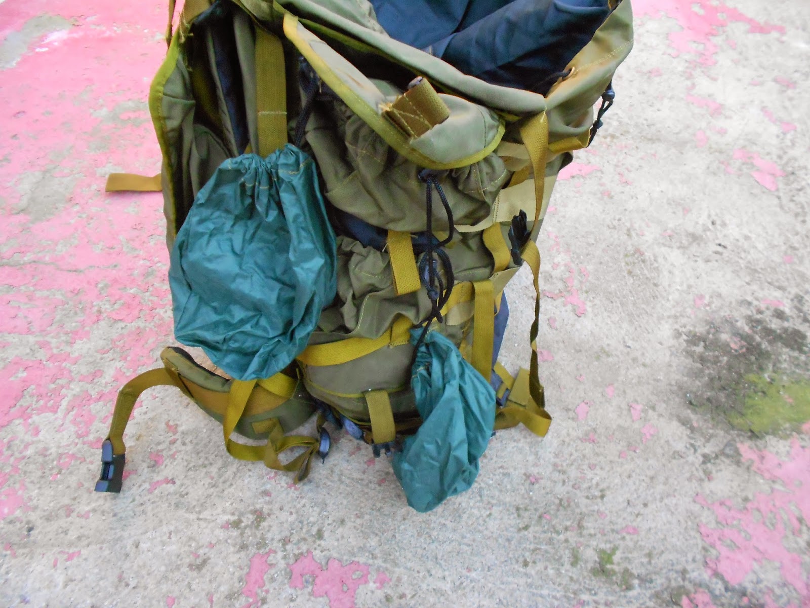 VOSTOK BASE: SSO Avizent Edelweiss Backpack