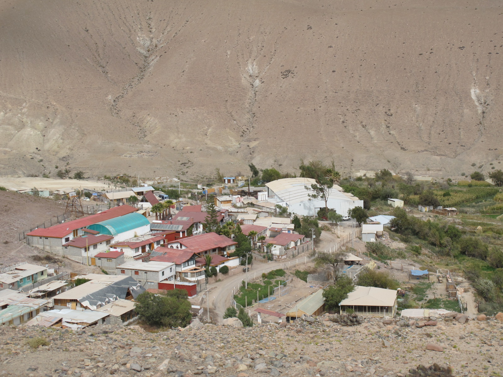 LA NATURALEZA ES NUESTRA PRINCIPAL FUENTE DE SALUD: Mamiña