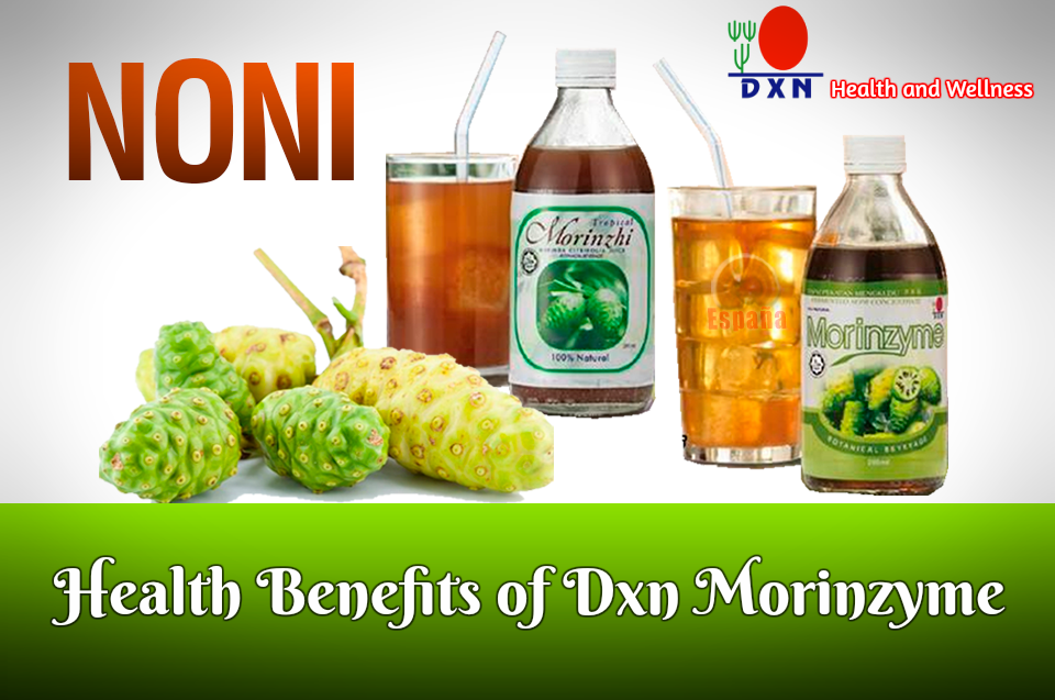 DXN MORINZYME ~ dxn2mlm