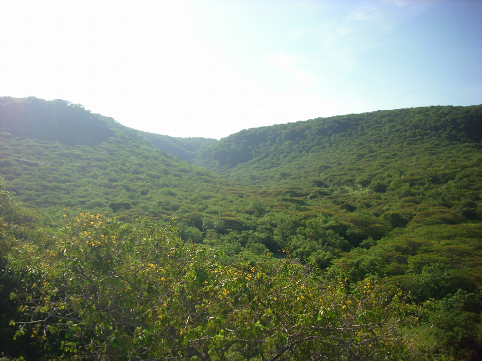 Biodiversidad de "El Bajío Profundo": UN LUGAR COMÚN LLAMADO CERRO DE ...