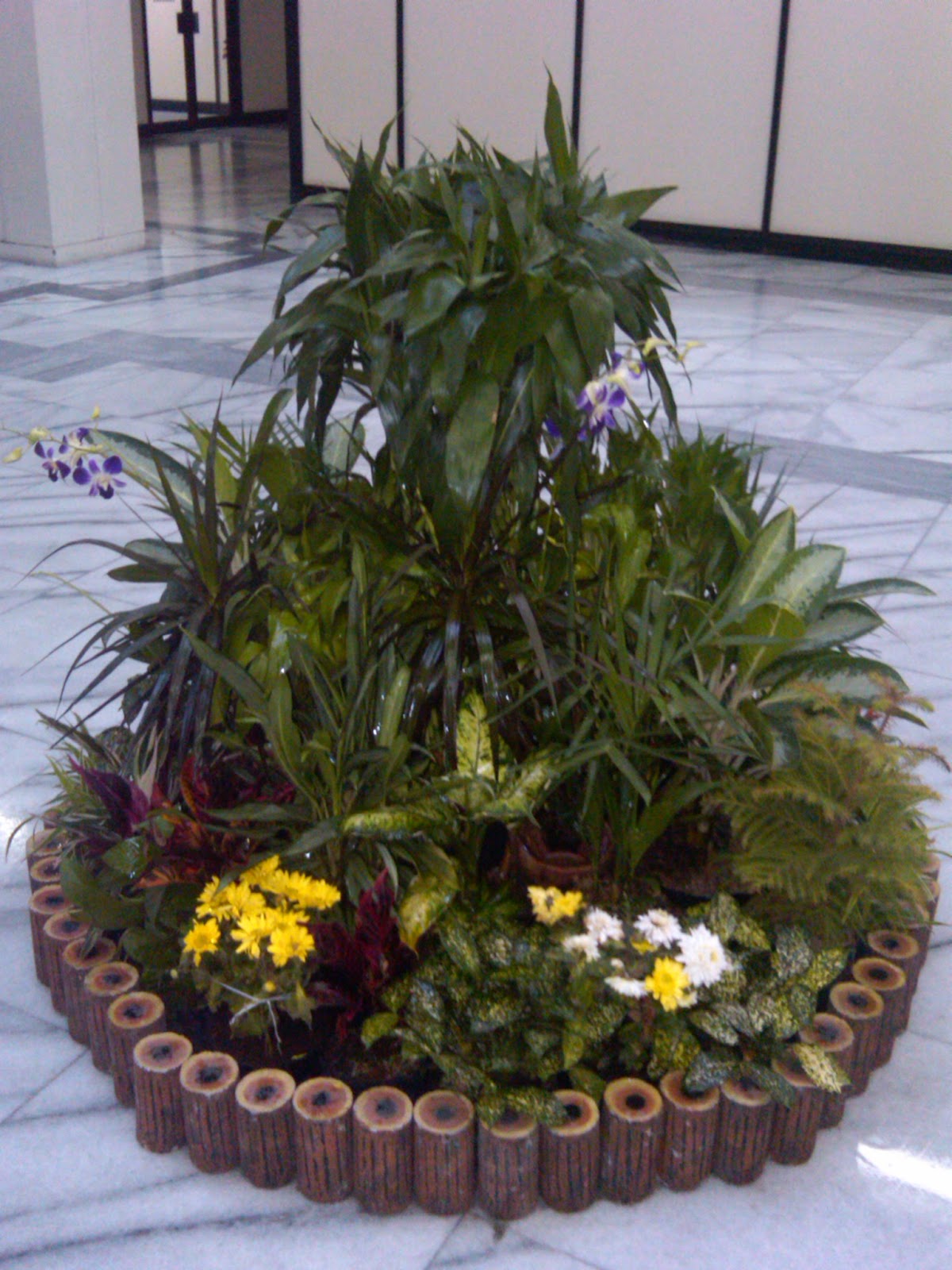 rental tanaman surabaya: DEKORASI TAMAN (MINI GARDEN)