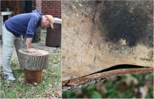 How To: DIY Stump Table | 17 Apart