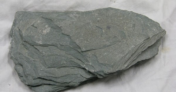 Aprende biología y geología conmigo : PIZARRA