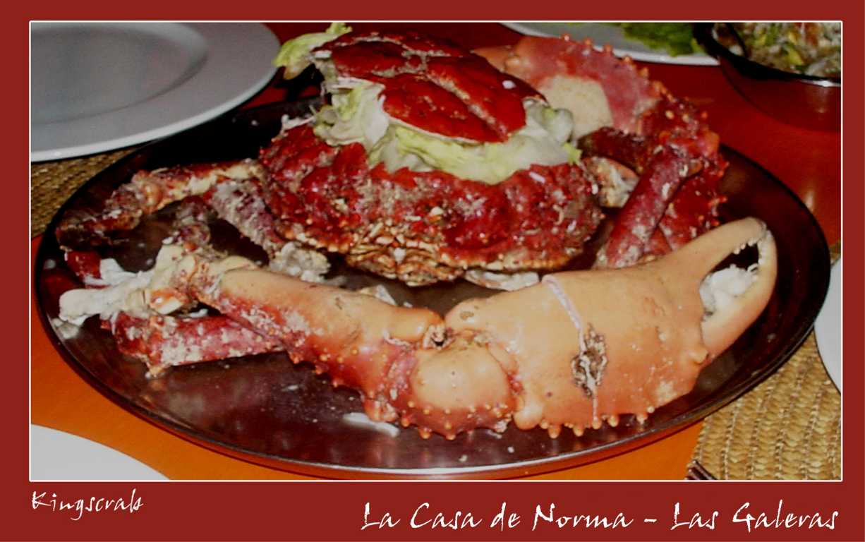 La Casa de Norma: La Casa de Norma“– Ein Urlaubs - Erlebnis - die ...