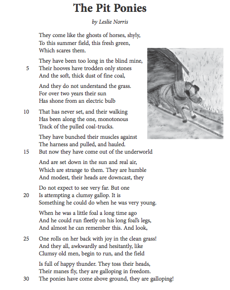 Mr. Trumble’s Blog: Day #115 - 3/18/15 - Mod 2A Unit 2 Lesson 7 Part II ...