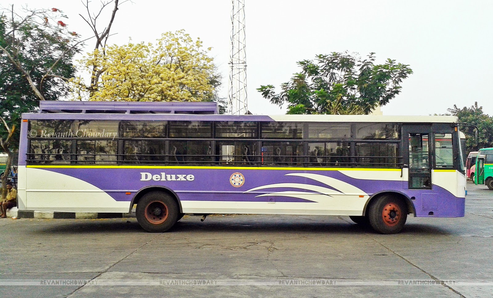 LOVE of Z: New DELUXE Buses