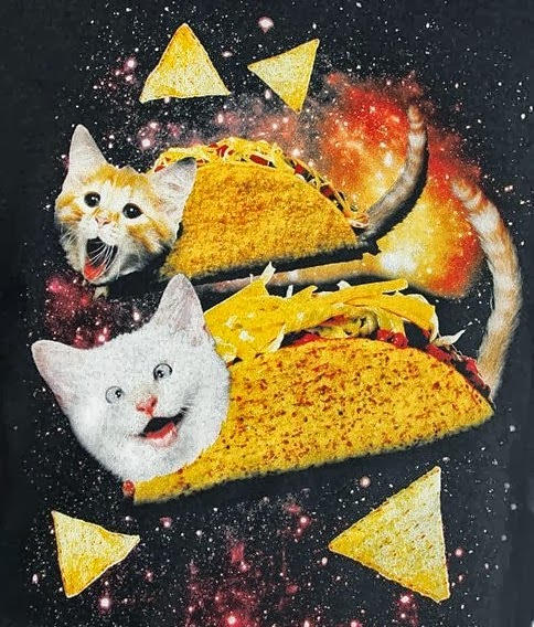 I Have Seen The Whole Of The Internet: Taco Cats In Space T-Shirt