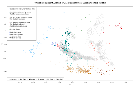 Polishgenes Blog: 2018