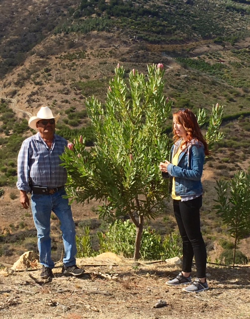 A Passion for Flowers: Video Shoot: Behind the Scenes with California ...