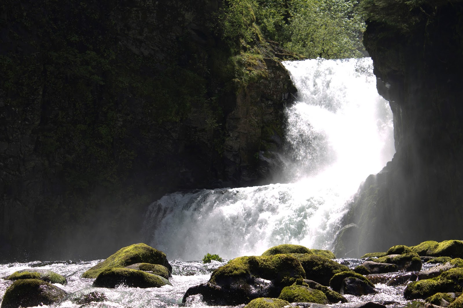 Dave Goes Outside: Skoonichuk Falls