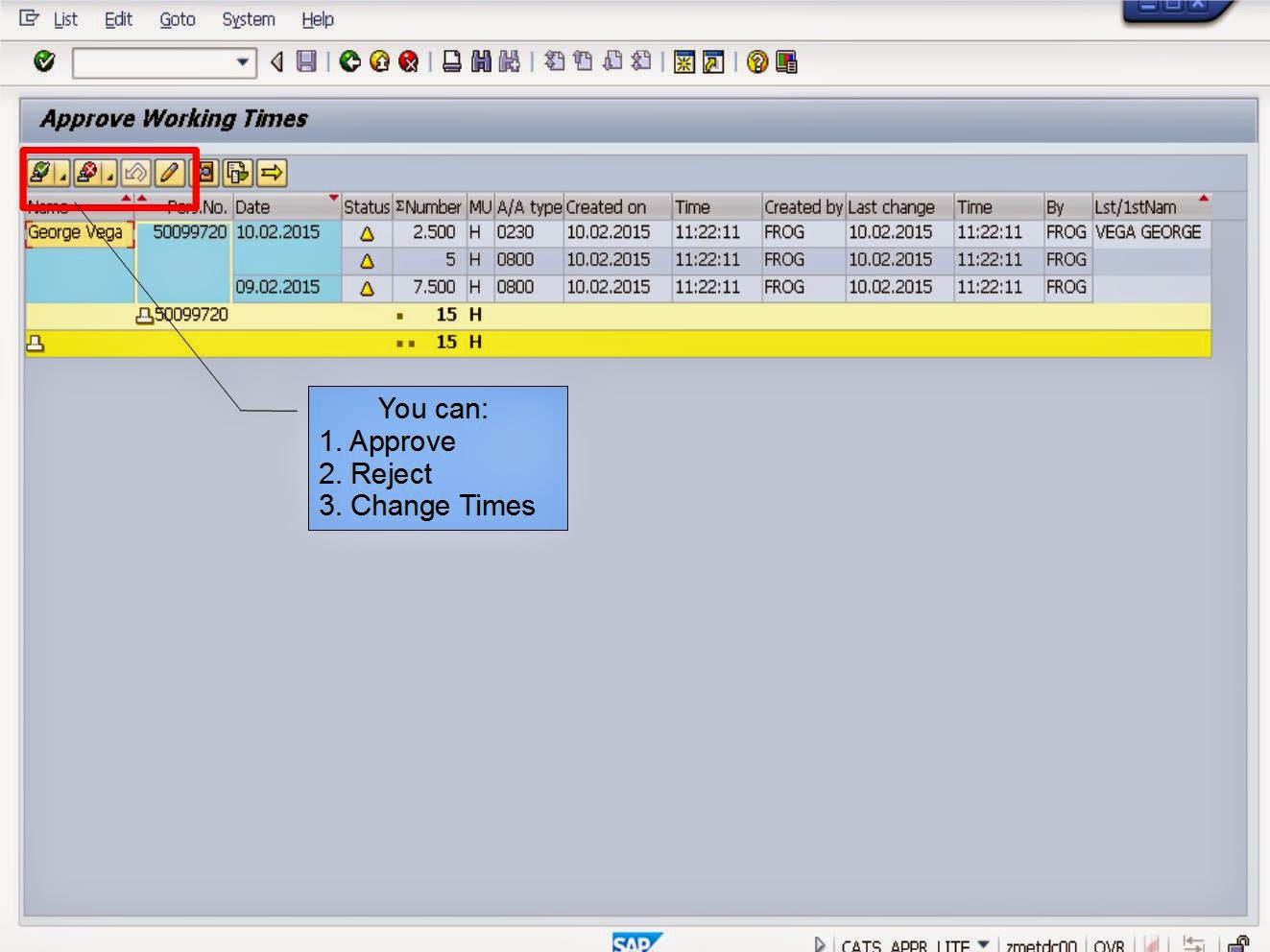 青蛙SAP分享 Froggy's SAP sharing: SAP HCM Time Management : CATS Approval ...