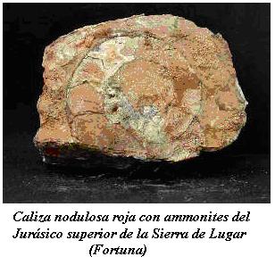 Sierra de Estepa (Sevilla): CALIZAS: CLASIFICACIÓN, USOS Y TIPOS