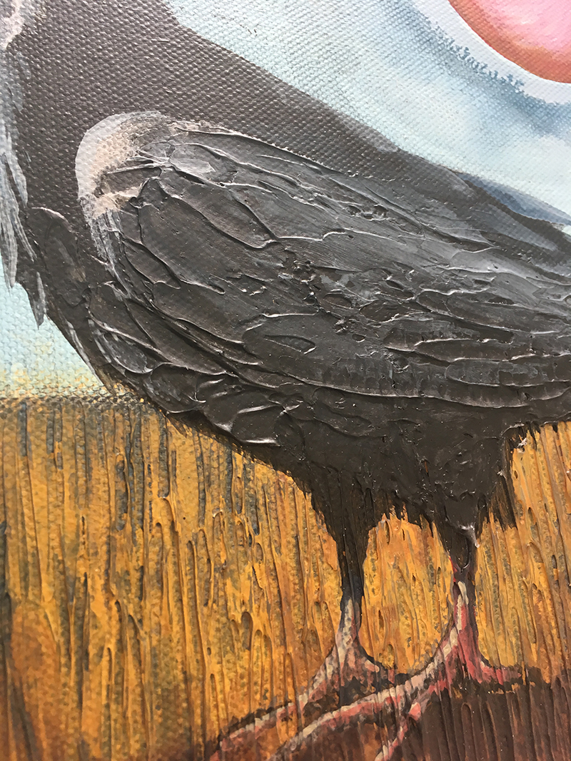 Linda Kemshall: Did you know DMTV has a shop?