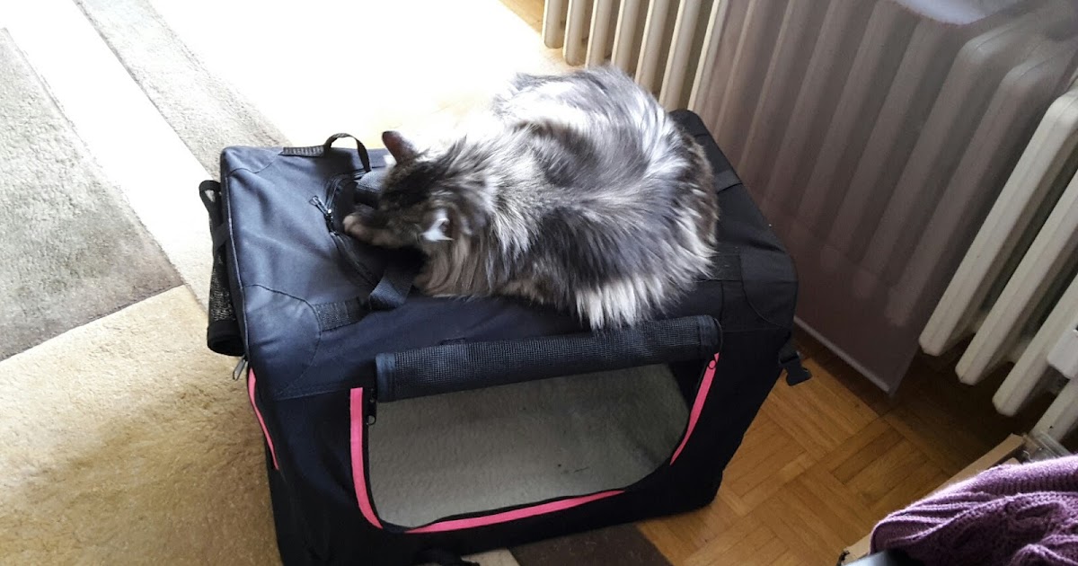 Mona's Blog: oneConcept Pet Pocket Haustier Trage-Tasche ...