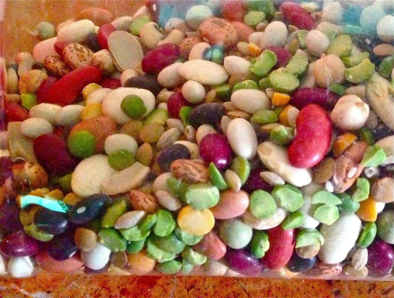 Gourmalicious-Food Writing and Photographs: Lean Bean