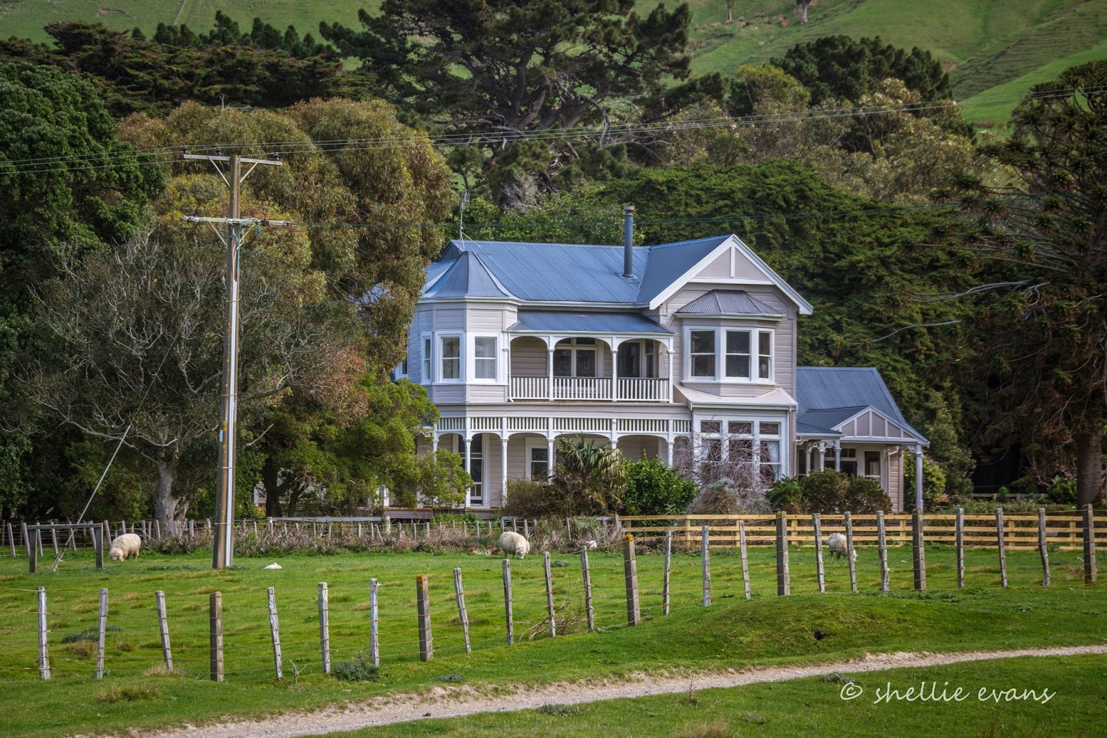 Two Go Tiki Touring: Beach Hop South- Herbertville & the Pipi Bank