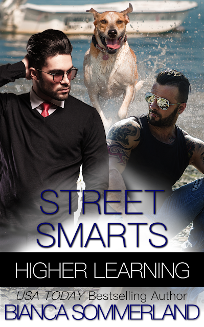 STREET SMARTS is on its WAY! Time for a SALE! :D