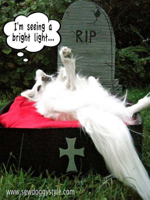 Sew DoggyStyle: Halloween DIY Dog Bed Coffin