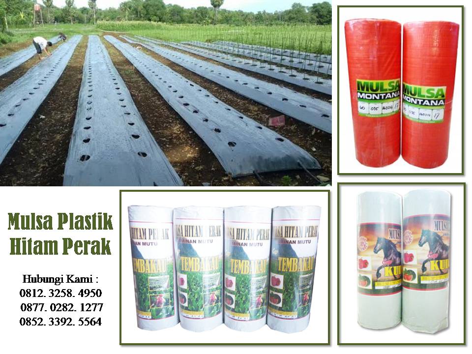 Melayani Pesanan Mulsa Plastik Hitam Perak Dengan Harga Murah Dan ...