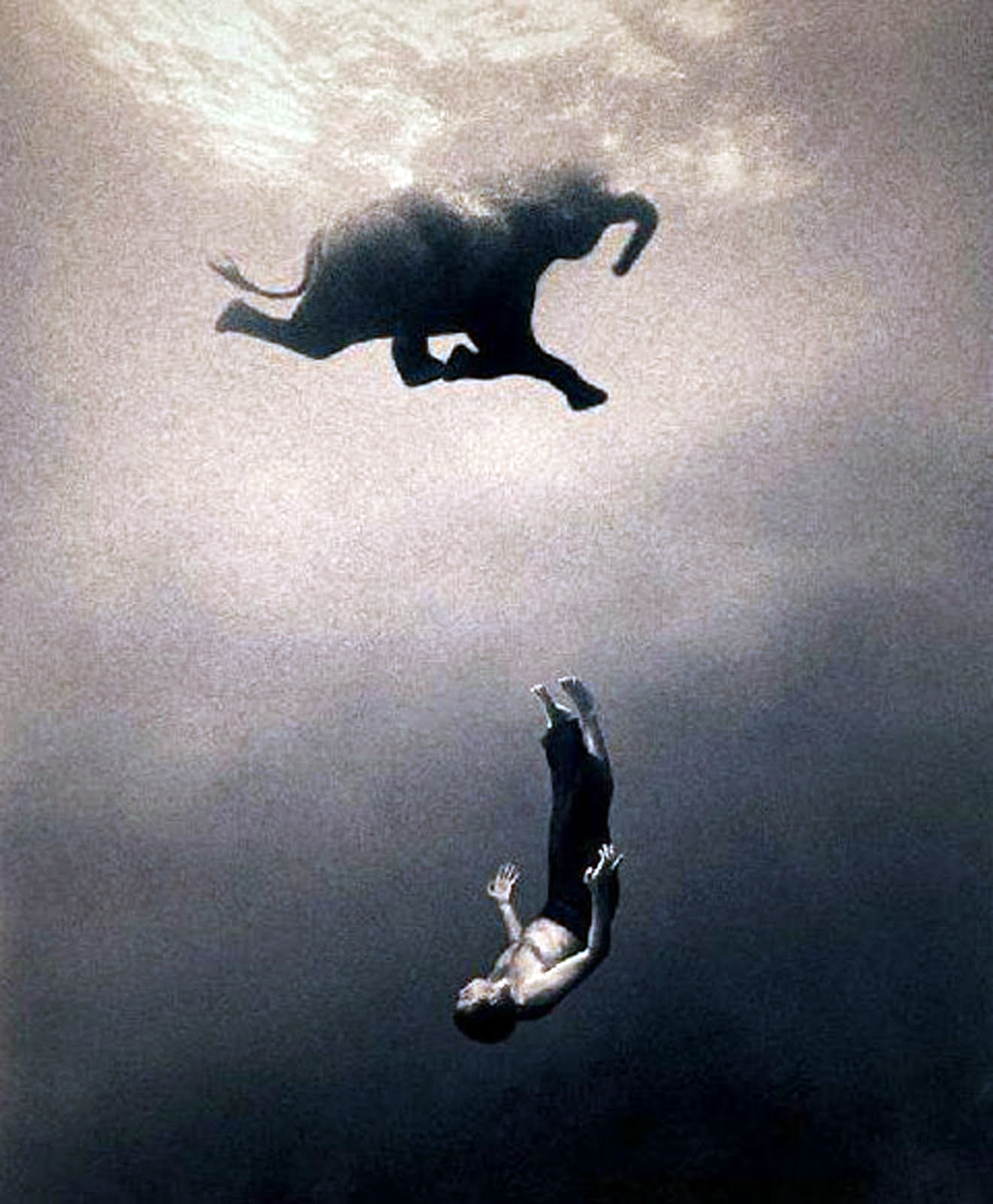 Além do que se ouve...: Gregory Colbert - fotos incríveis...