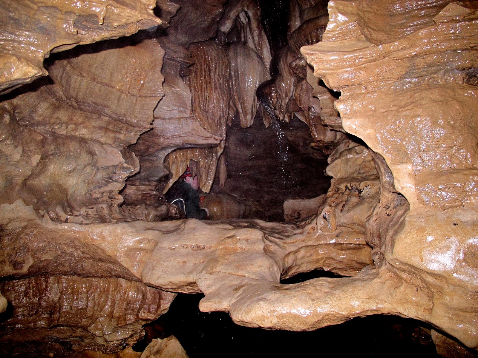 SHILOH CAVE - ADAM HAYDOCK