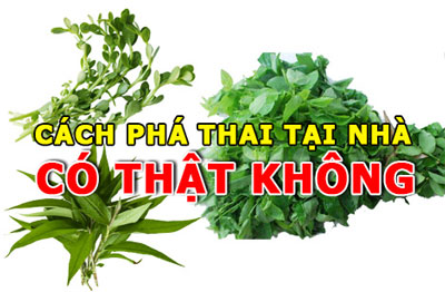 Một số cách phá thai an toàn tại nhà hiệu quả nhất
