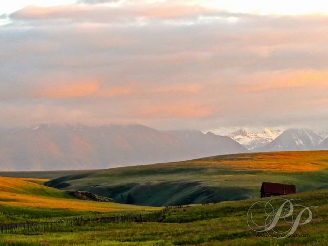 Eric Valentine's Praise Photography Blog: The Zumwalt Prairie country ...