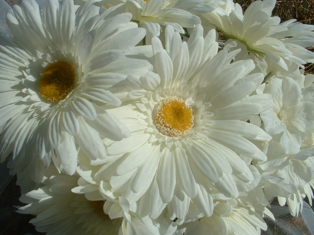 Unique Floral Arrangement Ideas for Events & Homes: Daisy Do Wedding Arch