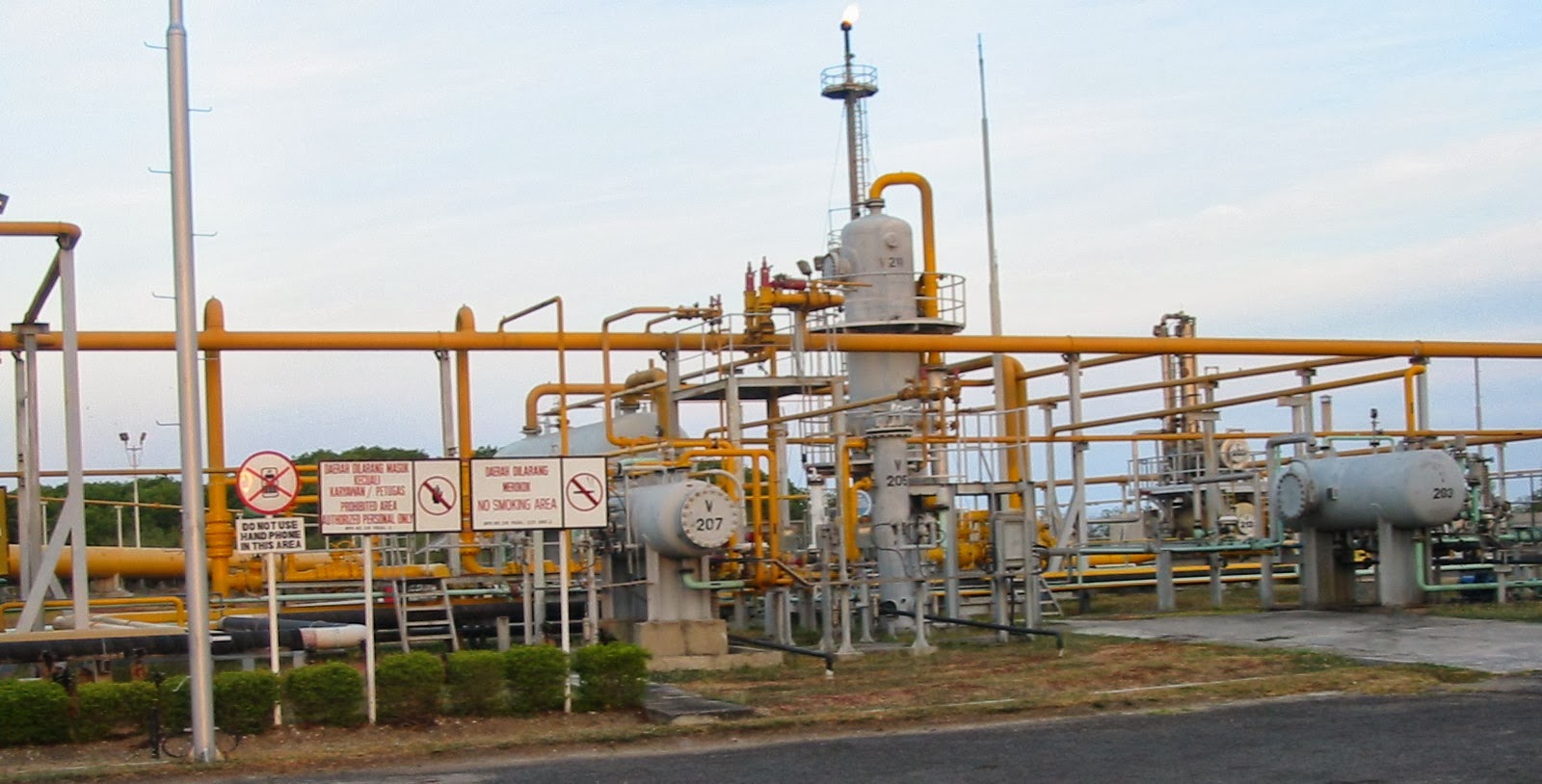 Maheswari Andini - Yellow Lime