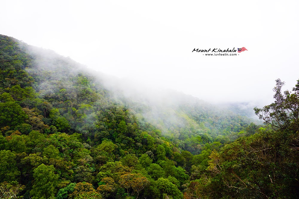 【Mount Kinabalu 神山】Timpohon Gate - Laban Rata 雨天下的六公里泥梯 - 乐飞翎 ♥ LUVFEELIN
