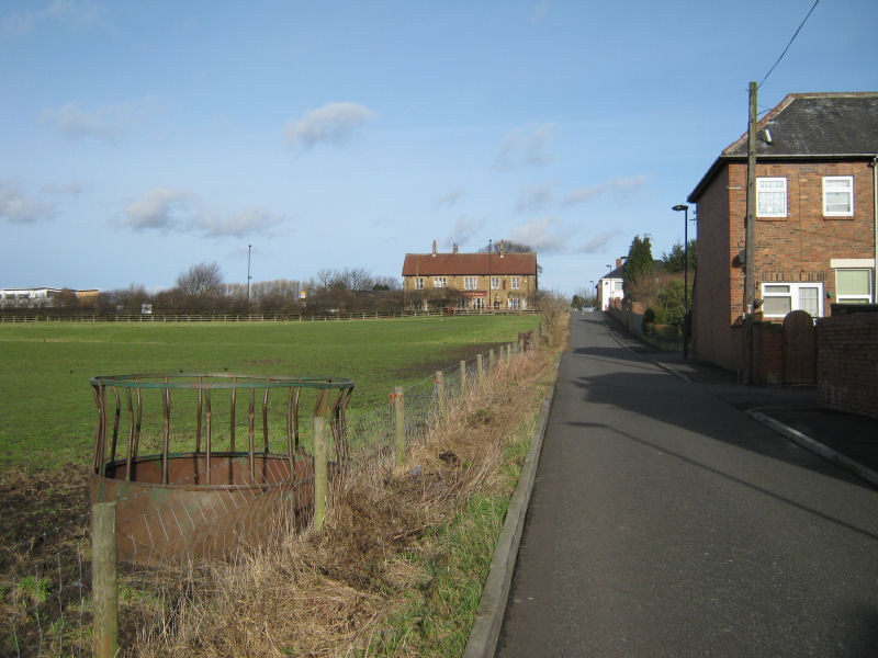 Photographs Of Newcastle: Walbottle