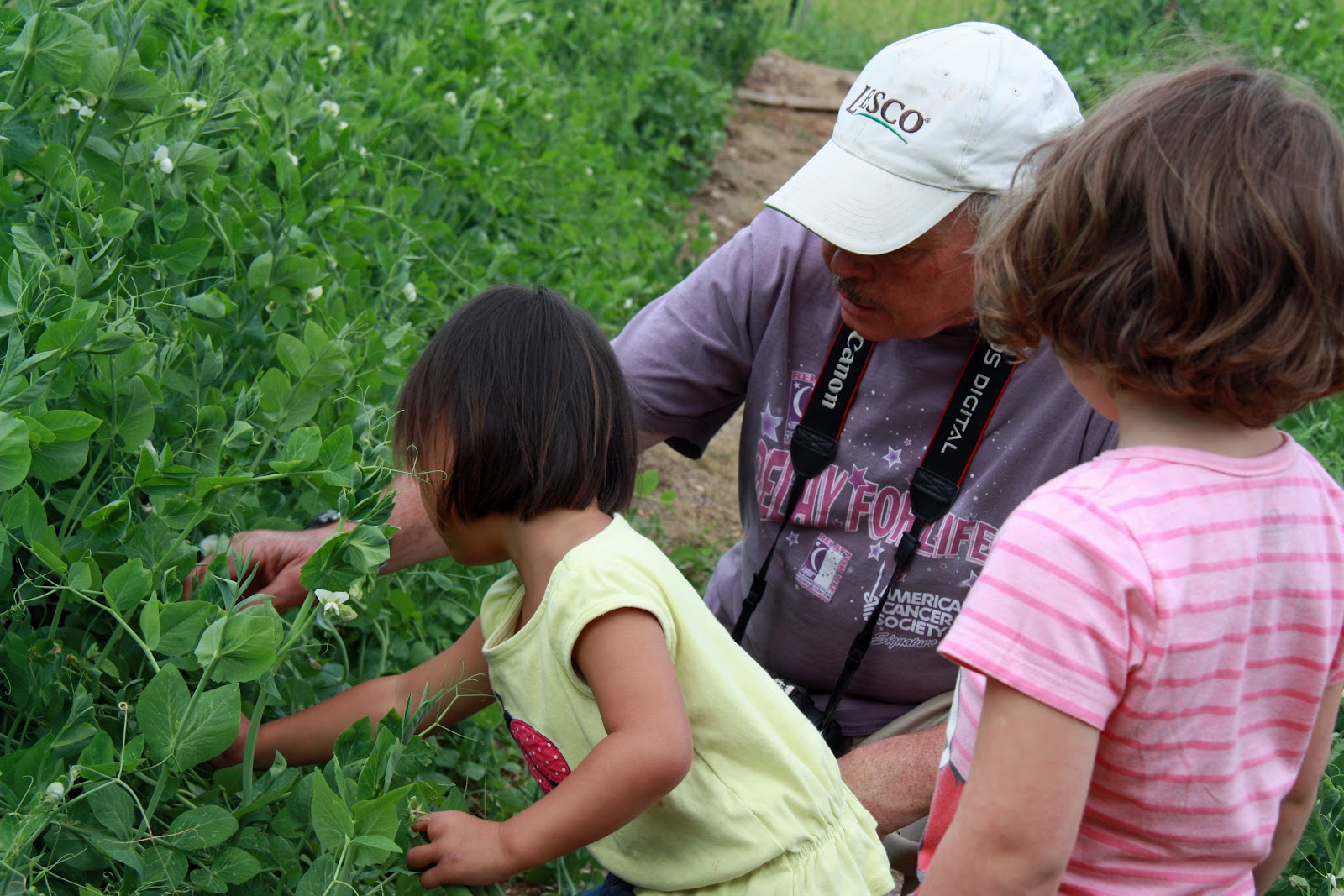 Morningstar Happenings: Maryland Memories