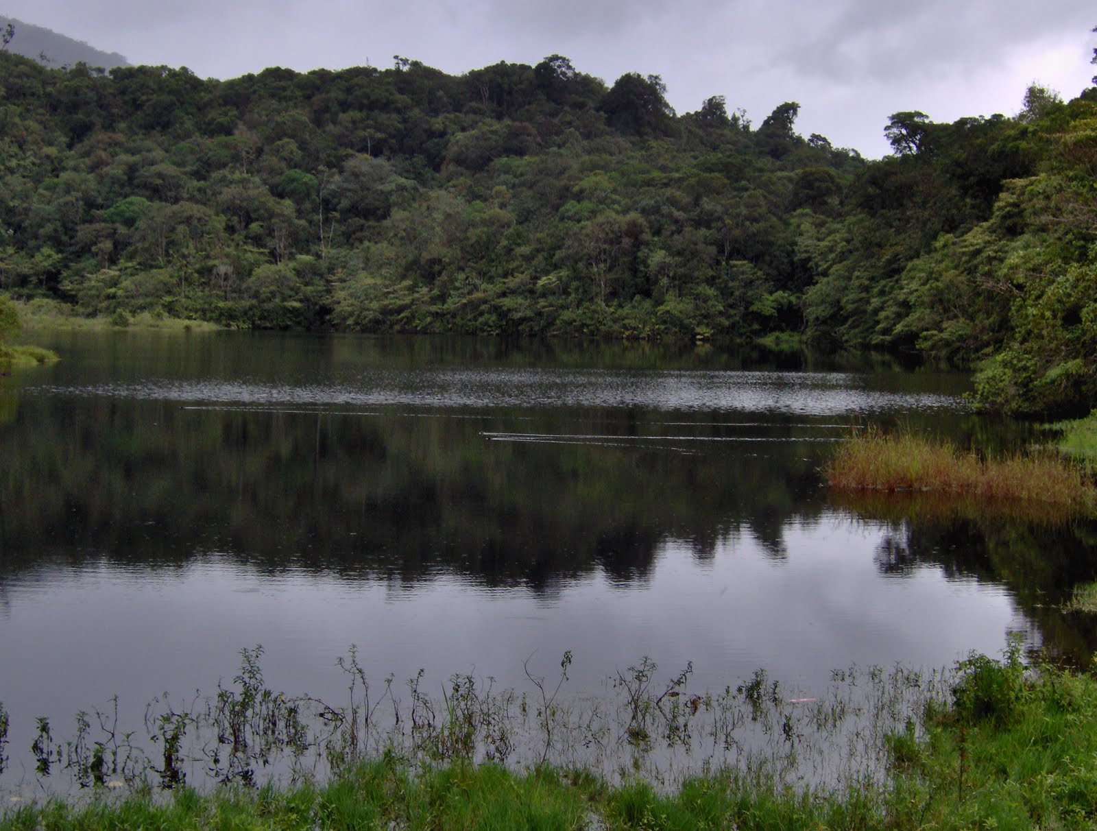 Trujillo Aventura y Encanto... BIENVENIDOS....: Municipio Bocono