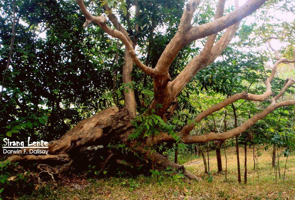 SIRANG LENTE: Trekking and Caving on Mt. Manalmon