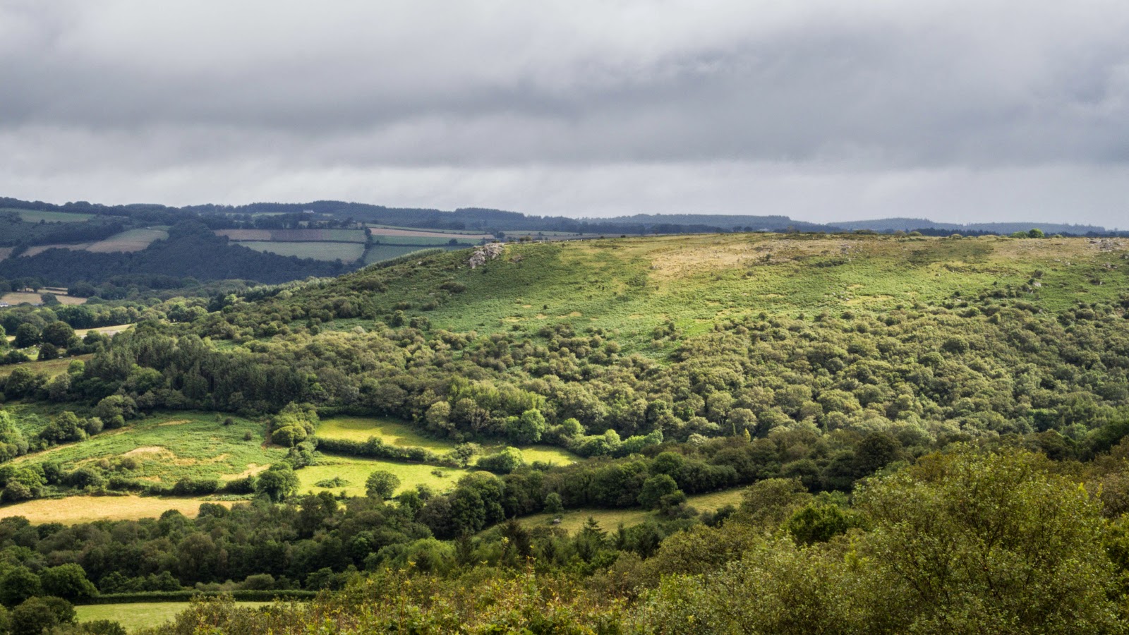 My Dartmoor Walks: Wednesday 13th August Manaton