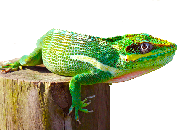 a programmer's blog: April 2012