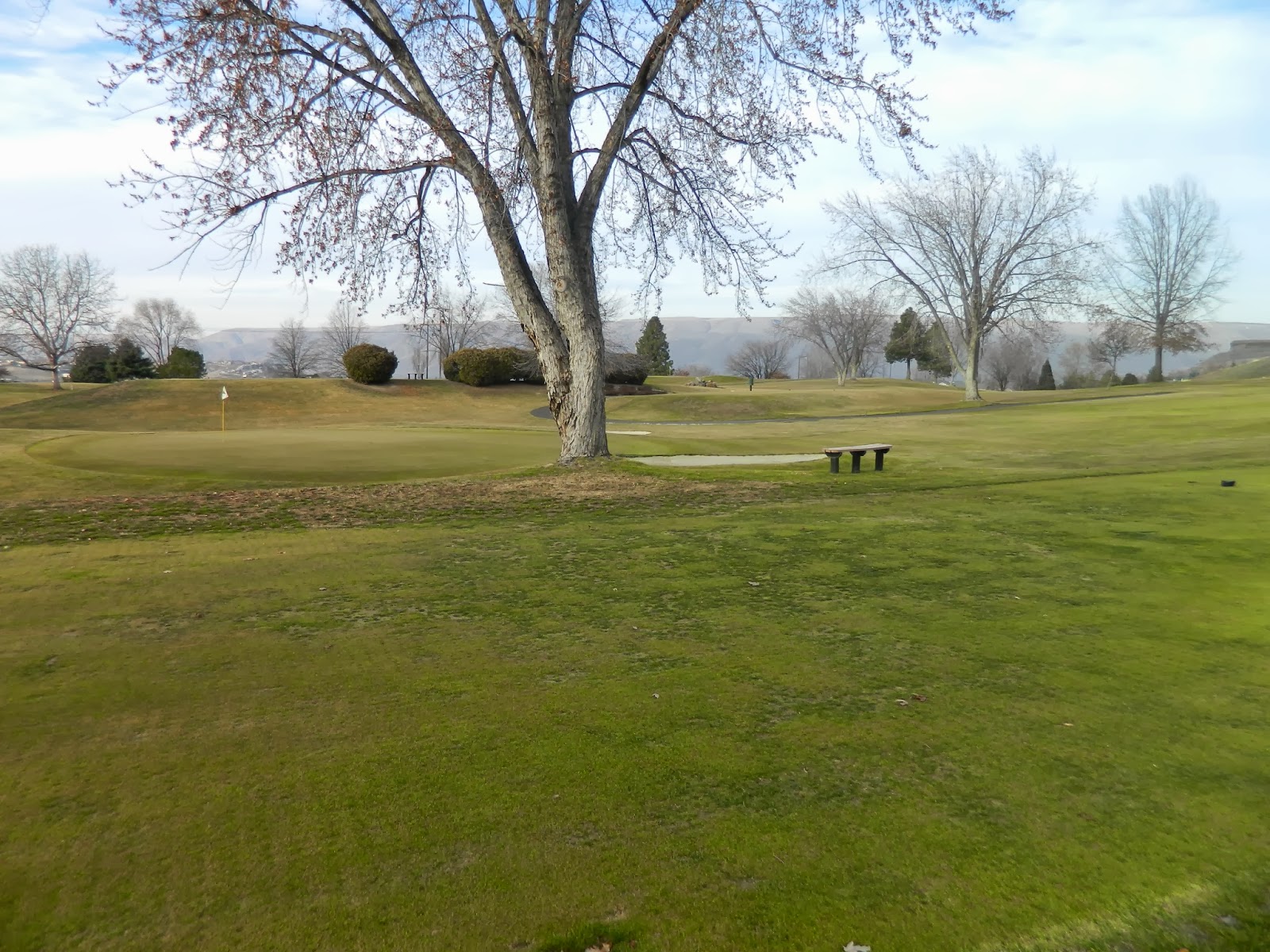 LGCC Golf Maintenance: Grinding Tree Roots