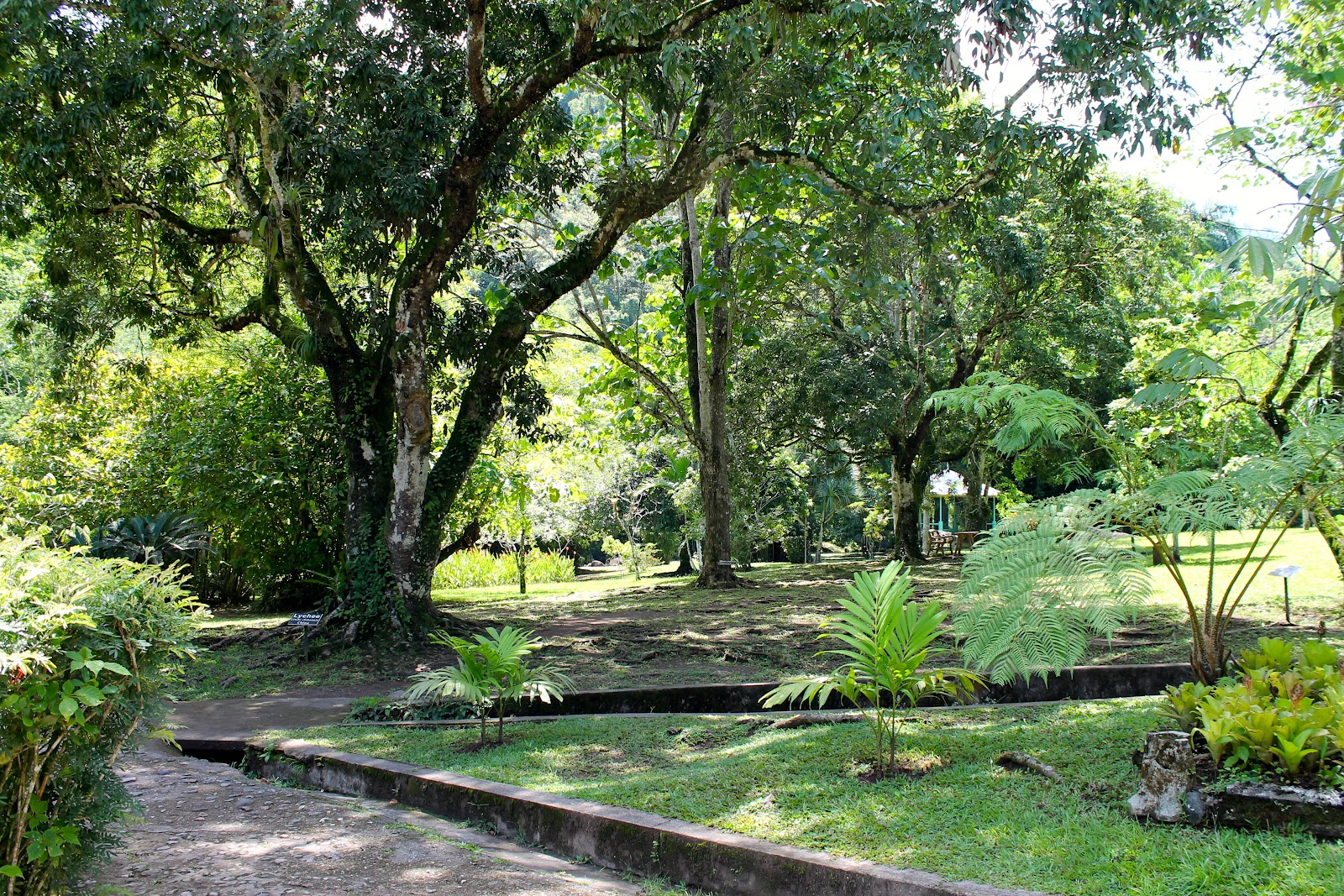 Wendy In Jamaica: Castleton Gardens