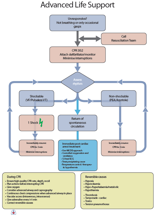 Instalasi Gawat Darurat RSUD Tenriawaru Bone: New Guideline CPR AHA 2010