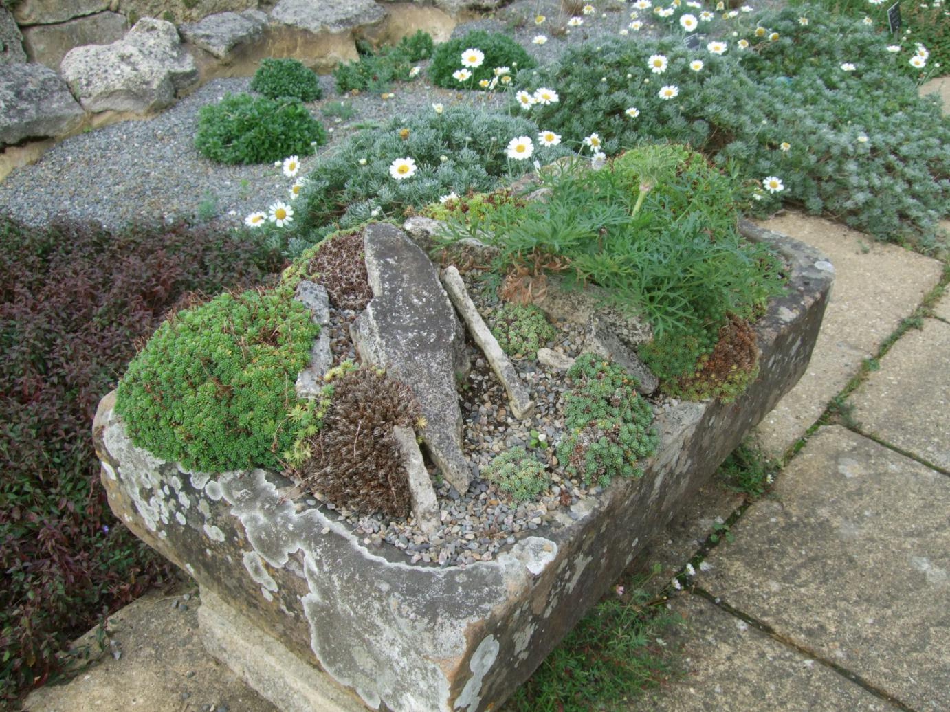 Alternative Eden: Alpine Troughs, Miniature Gardens | Miniature garden ...