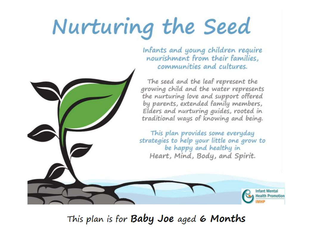 Nurturing the Seed - Developmental Support Planning with Indigenous ...