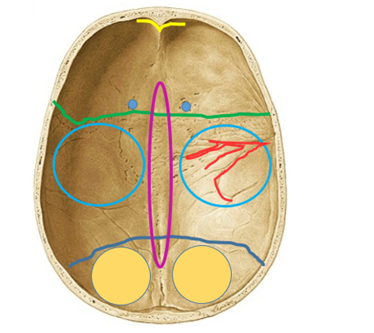 Medicina, un espacio para aprender