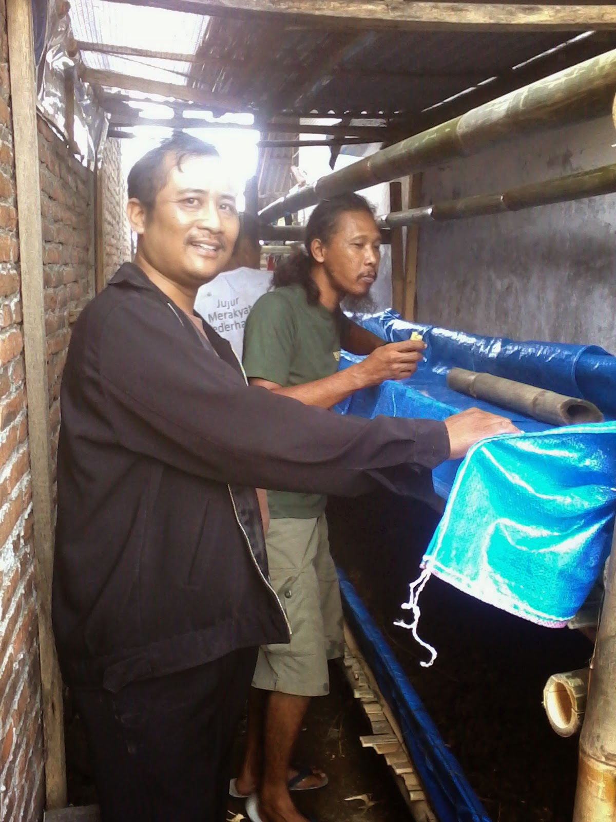 PETERNAK CACING DI SRAGEN JAWA TENGAH: SUKSES SETELAH BUDIDAYA CACING