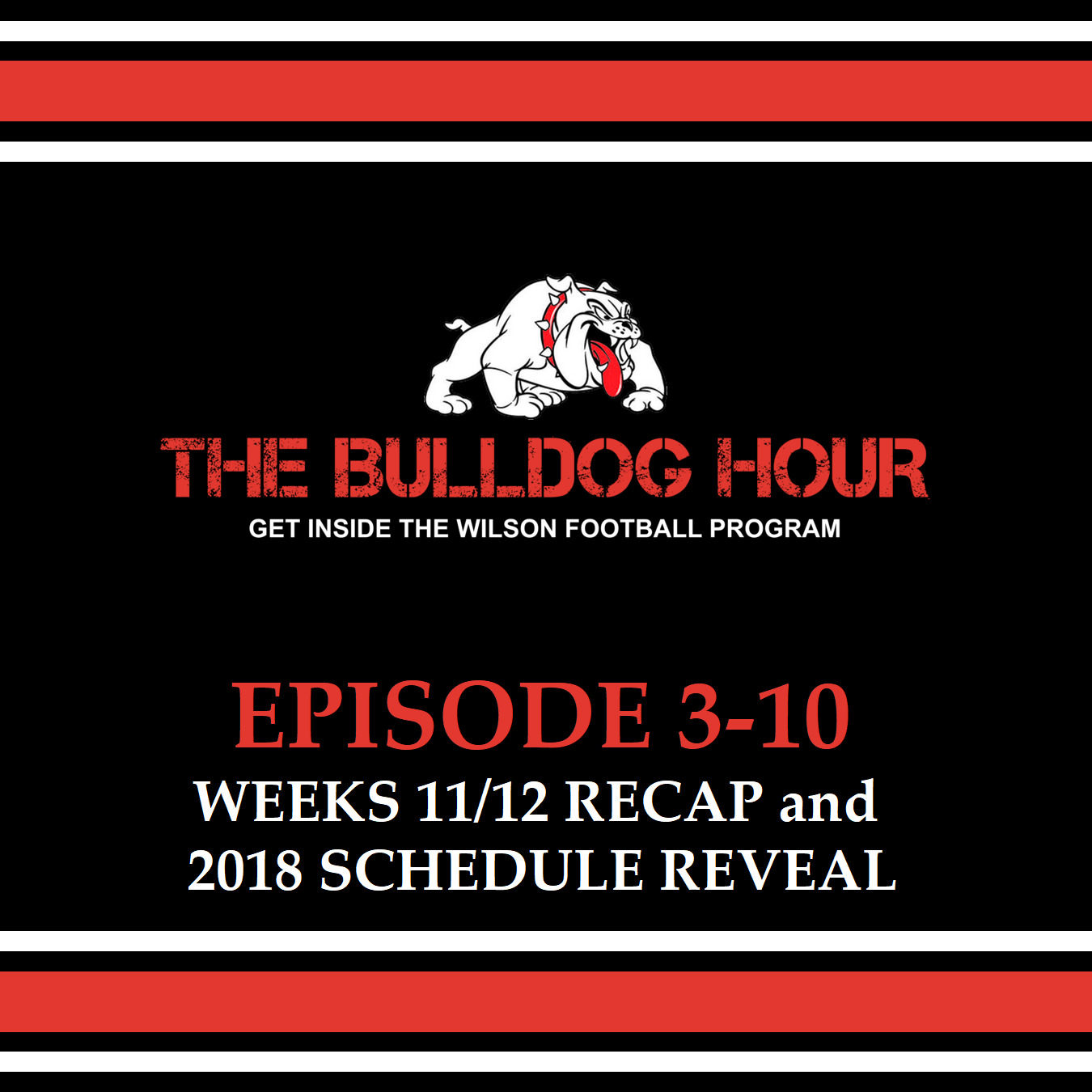 Wilson Bulldogs Football: 2017