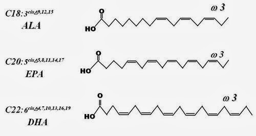 Chemistry Thursday: Omega 3, 6, and 9 fatty acids – Point of Interest