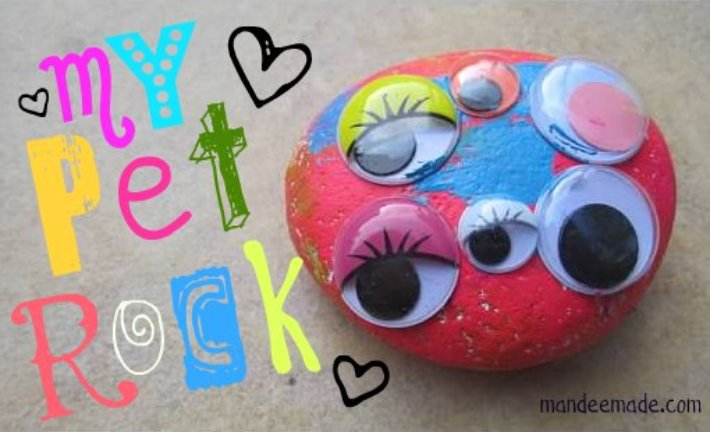 mandeeblogs: Kids Crafts: My Pet Rock