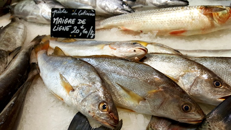 La cuisine & Claudine: Filet de maigre, sauce aux langoustines et ...