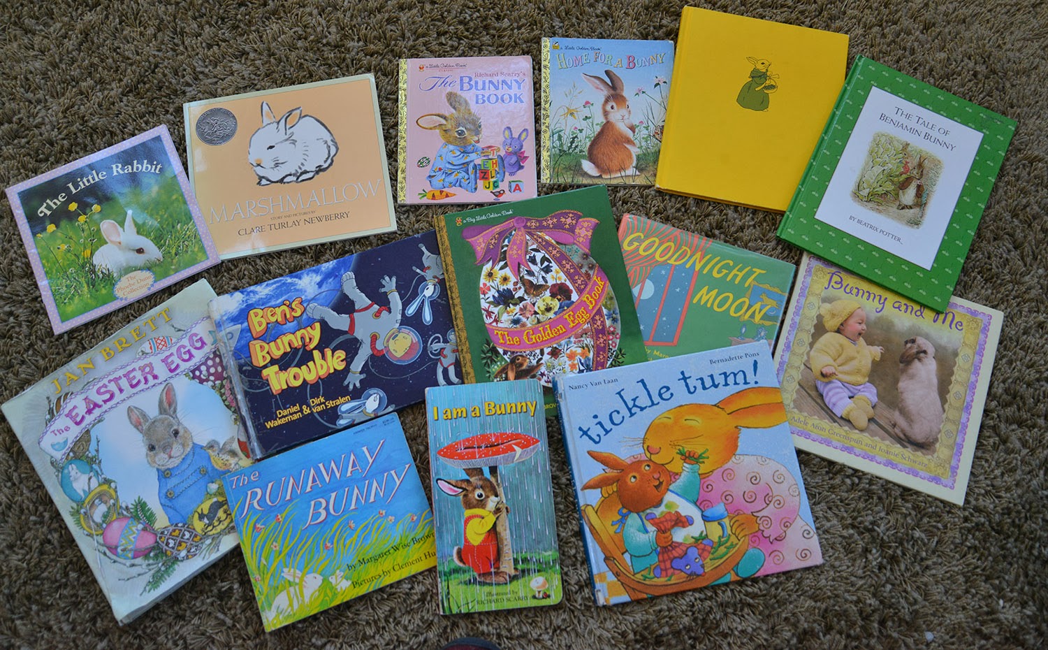 A school of fish: Bunny Unit Schedule and Lesson Plan; Bunnies in ...