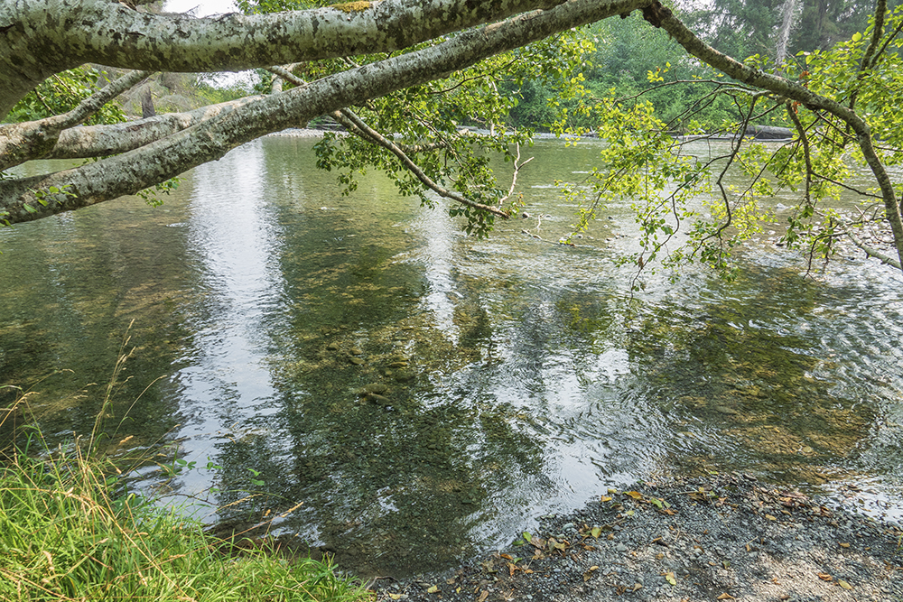 Merikay's Dream : Dosewallips State Park and Olympic National Park