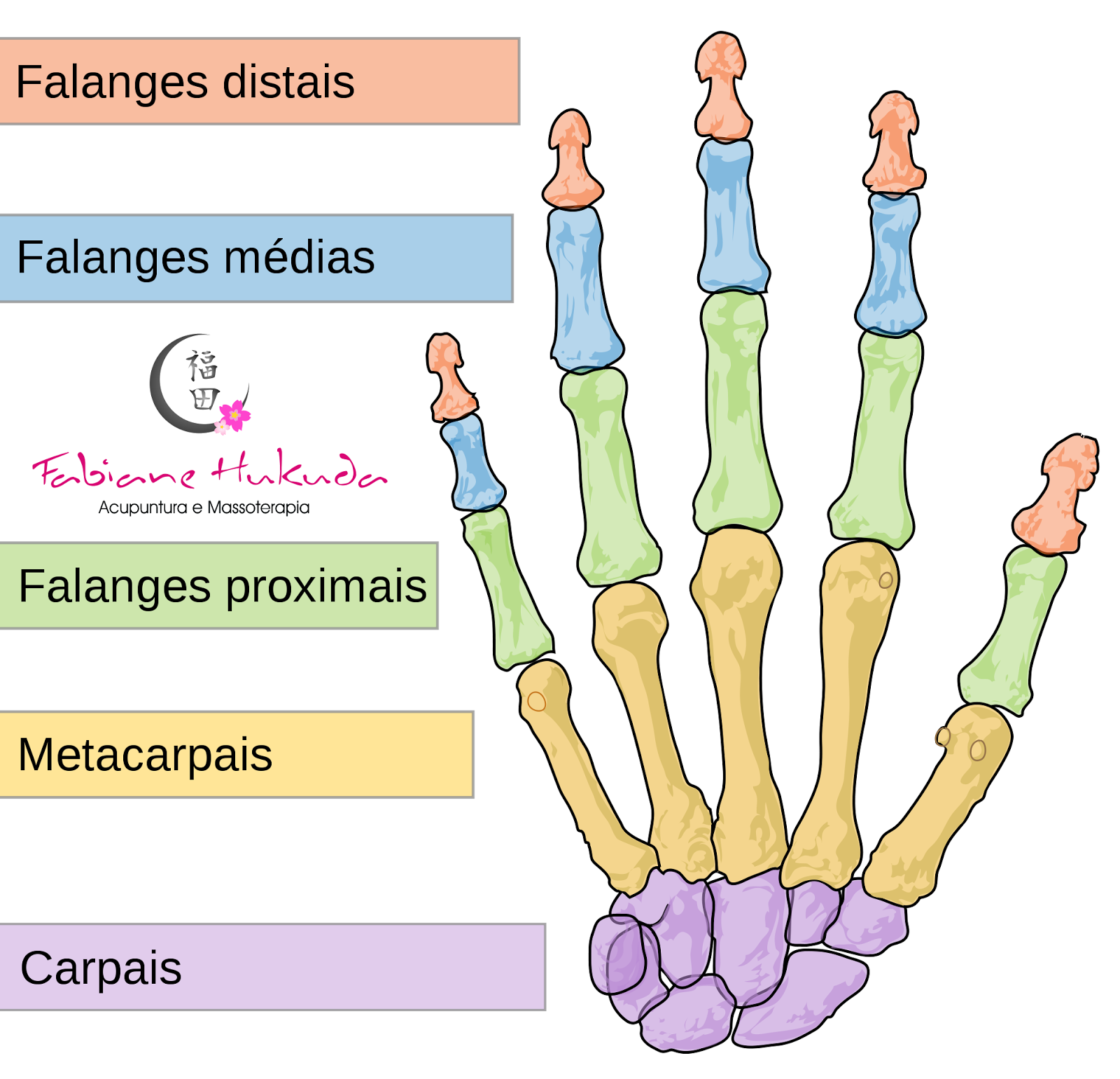 Fabi Hukuda: BANDAGEM PASSO A PASSO PARA PROTEGER O DEDO.
